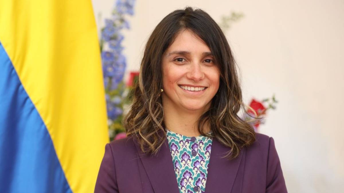 ¿Quién es Diana Gómez Correal? La primera viceministra de las mujeres ...