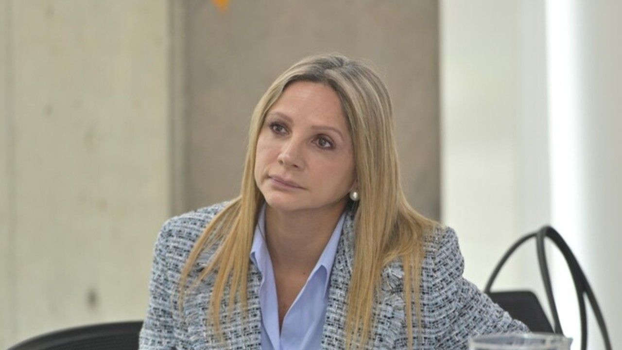 Perfil de Beatriz Gómez Consuegra: la funcionaria de la Supersalud envuelta en controversia por ...