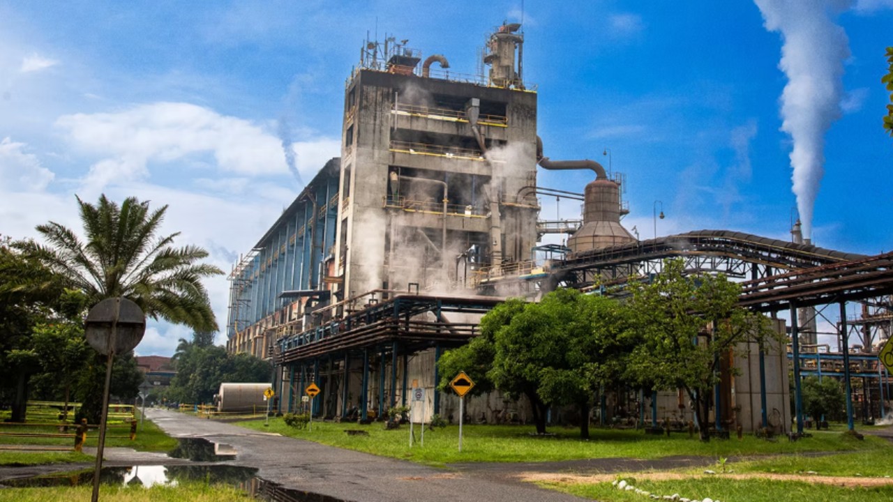 Industria del papel en Colombia: ¿qué pasa con Propal y las ...