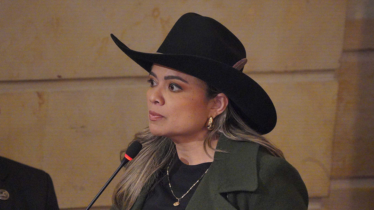 Ella es Lina María Garrido, la congresista que arremetió contra el ...