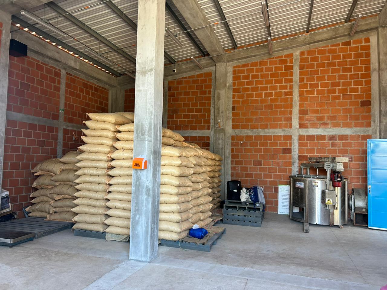 Putumayo: este es el proyecto que fortalece familias, economía y paz a través del cacao