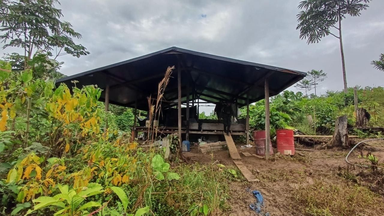 Así desmantelaron cinco laboratorios de producción de cocaína de los ...