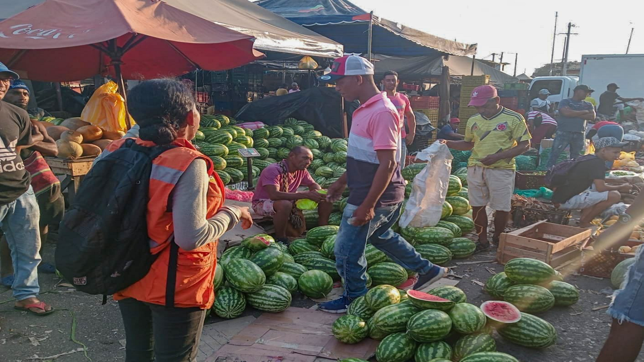 Mercado de Bazurto en Cartagena: ¿qué se sabe sobre su nueva ubicación?